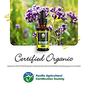 Louianna - Organic Wild Oregano Oil, Pure Oil of Oregano Drops, Wild Oregano Essential Oil with 80 Percent Carvacrol, Oregano Oil Drops for Oral or Topical Use, 30 mL