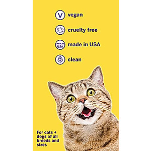 Petsmile Professional Pet Toothpaste | Cat & Dog Dental Care | Controls Plaque, Tartar, & Bad Breathe | Only VOHC Accepted Toothpaste | Teeth Cleaning Pet Supplies (London Broil, 4.2 Oz)