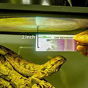 REPTI ZOO UVB Tester Reptile Lamp UV Sensor Reptile UVA UVB Fluorescent Lamp Tester Card, Set of 2