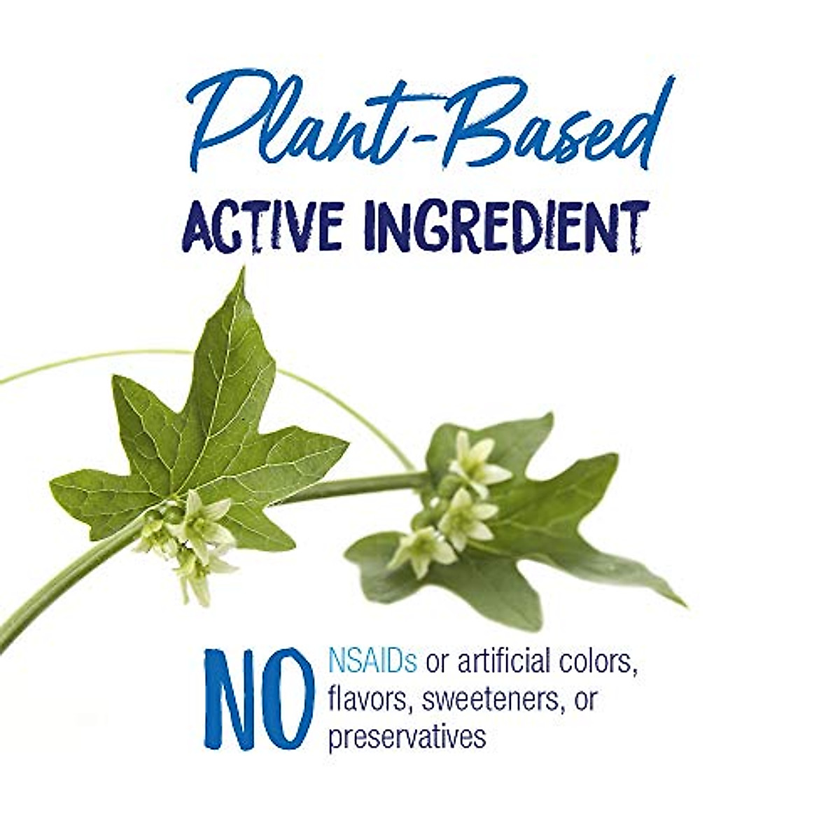 Boiron Bryonia 30C Homeopathic Medicine for Relief from Joint Pain, Muscle Aches, Arthritis Pain, and Muscle or Joint Stiffness - 80 Count (Pack of 3)