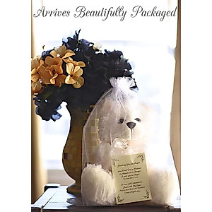 Cuddly Children's Sympathy Gift for Grieving Child, Stuffed Animal Angel Bear Plush with Gift Bag and Card for Memorial Funeral Present, Comfort Children for Loss of Loved One