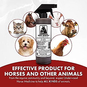 Topical Wound Spray Refill Bottle with Spray Trigger 16 oz - Wound Care Spray for Faster Healing of Scrapes, Cuts, and Wounds - Spray Solution for Equine, Pets, and Other Farm Animals