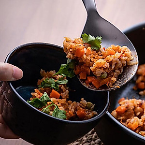 Rice Paddle Spoon Stainless Steel: 2pcs Non Stick Rice Spoon Scooper Spatula Rice Cooker Spoon Serving Spoon Rice Spatula for Rice