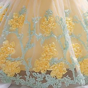 Dressy Daisy Baby Girls Wedding Flower Girl Pageant Dress Party Tulle Skirt for Special Occasion Size 18-24 Months Yellow