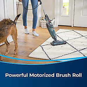 BISSELL® Featherweight™ PowerBrush Vacuum, 2773A Gray