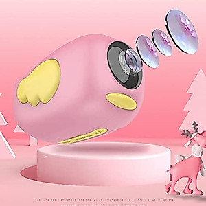 Garende Kids Video Camera for Girls Gifts 2.0 Inches Digital Cameras Shockproof Children Selfie Anti Mini Child, Pink