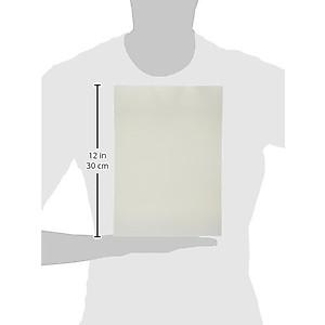 Fujitsu DVD Cleaning Sheet FI-C100CS