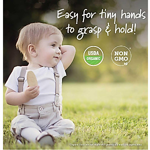 Gerber Organic Teethers Variety Pack, 1 Mango Banana Carrot, 1 Blueberry Apple Beet, 2 CT