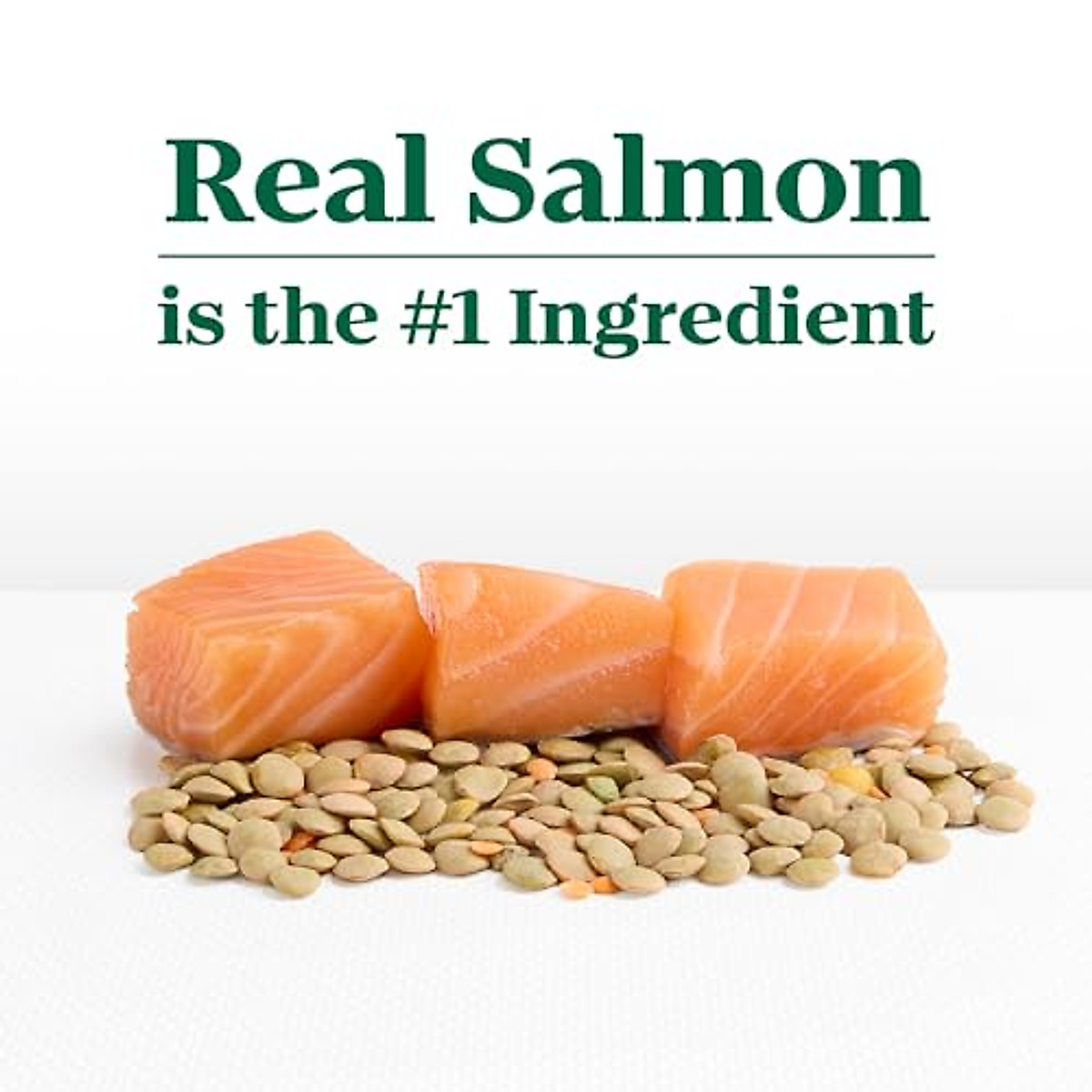 Nutro Limited Ingredient Diet Dry Dog Food, Salmon & Lentils Recipe, 22 lbs.