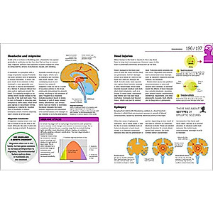 How the Brain Works: The Facts Visually Explained (DK How Stuff Works)