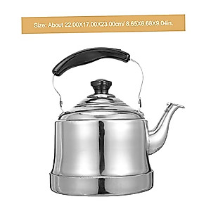 GRIRIW 1pc Stainless Steel Kettle Vintage Teapot Teapot Espresso Machines for Home Filter Teapot Strainer Stove Top Teapot Stovetop Tea Kettle Iced Tea Maker Coffee Filters Silver