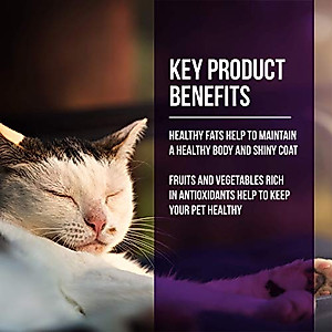 Fussie Cat Market Fresh Quail & Duck Meal Formula Grain-Free Dry Cat Food 4lb