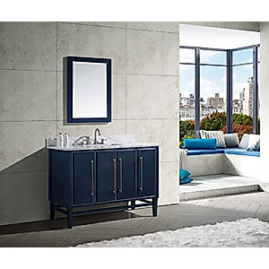 Avanity White 48-Inch Mason Bath Vanity Cabinet with Silver Trim