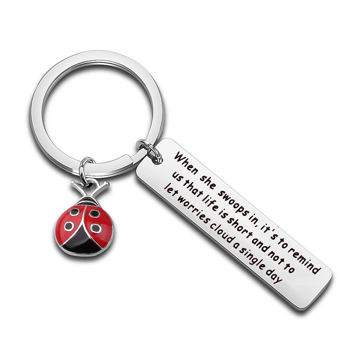 WUSUANED Good Luck Ladybug Keychain When She Swoops In It Remind Us Not Be Let Worries Cloud A Single Day Ladybug Lover Gift