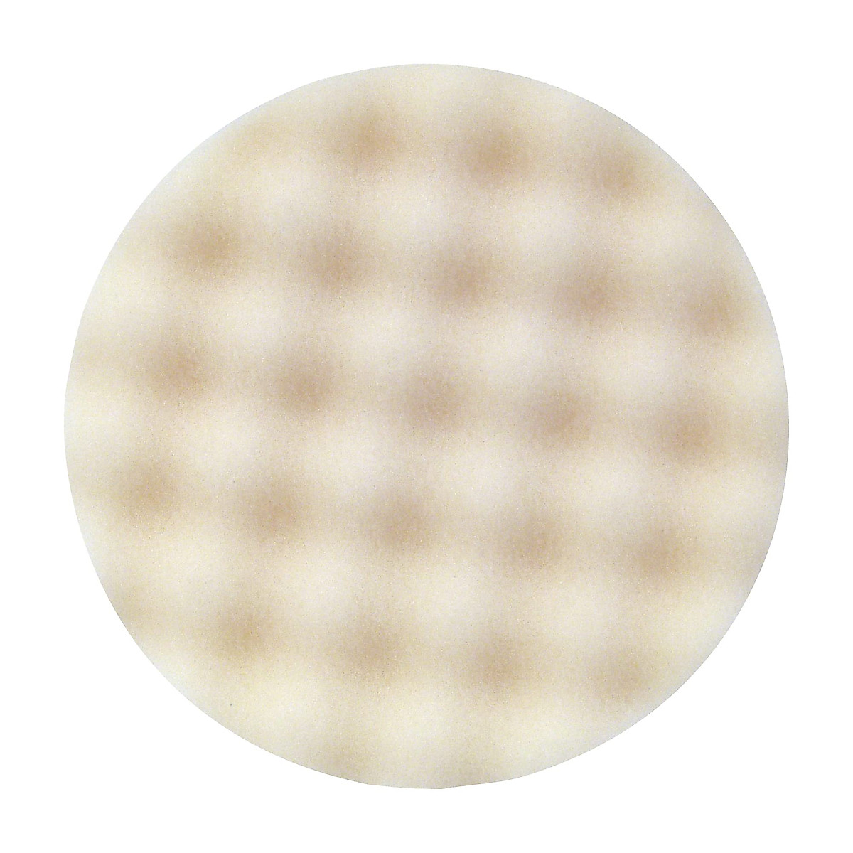 3M Foam Compounding Pad, 05723, Single Sided, Flat Back, Hook and Loop, 8 in (203.2 mm), 2 Pads/Bag , White