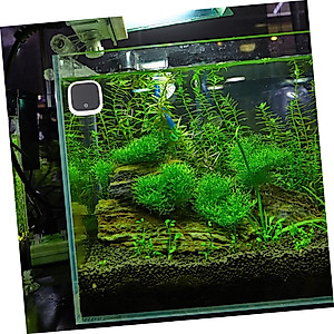 LIOOBO Thermometer Aquatic Turtle Tank Accessories Fish Tank Thermometer Container abs pet Equipment Electronic Aquarium Temperature Gauge Aquarium Fish Tank Paste Turtle Tank