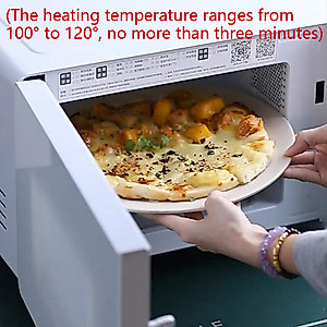 SNOMEL 11 Inch Dinner Plate Set, Extra Large Pasta Plates, Unbreakable Dishes, Lightweight Wheat Straw Salad Dinnerware, Reusable Fiber Dessert Tableware (Pink)