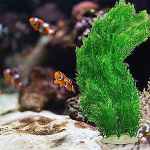 E.YOMOQGG Aquarium Artificial Plants Fish Tank Decorations Aquarium Decorations, Underwater Aquatic Plastic Grass, 21.6” Tall Fishtank Plants Ornament Large for Landscape (Green)(E)