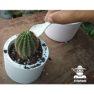 O-FarFarm Cactus Soil Potting Mix 1.1 LBS, Optimized PH Fast Draining with Added Nutrients, Perfect for Small Cactus Pots