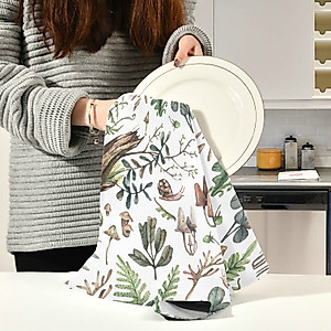 Kigai Kitchen Towels Set of 4, Retro Plants Highly Absorbent Dish Towels Reusable Cleaning Cloths Washable Tea Towels Hand Towel 28 x 18 Inch