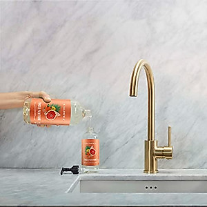 Caldrea Hand Soap Refill, Aloe Vera Gel, Olive Oil And Essential Oils To Cleanse And Condition, Tangelo Palm Frond Scent, 32 Oz