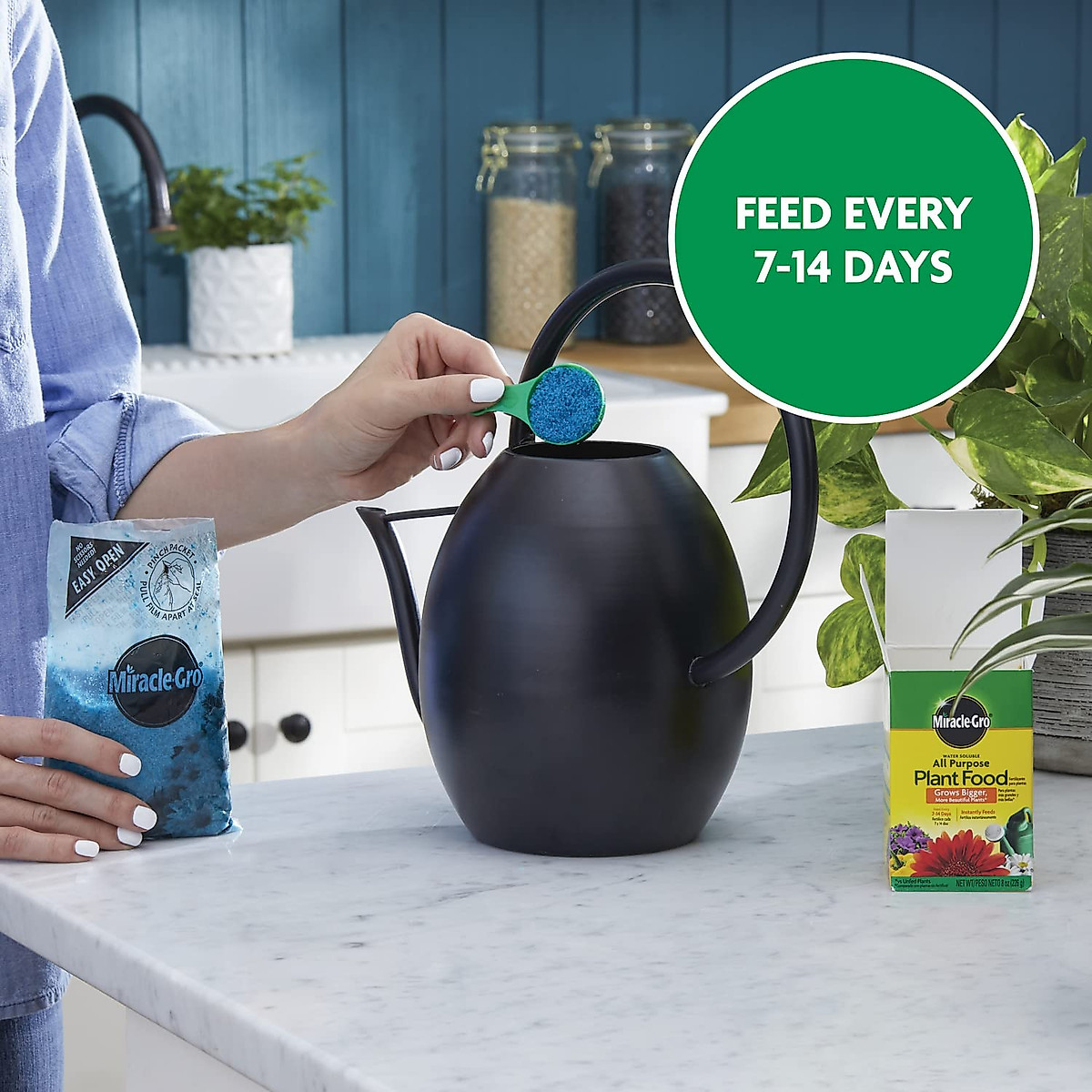 Miracle-Gro Water Soluble All Purpose Plant Food, Fertilizer for Indoor or Outdoor Flowers, Vegetables or Trees, 8 oz.