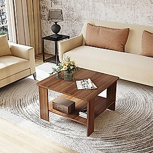 WAHEY Coffee Table, 2-Tier Simple Living Room Table with Storage Shelf, LRCT001