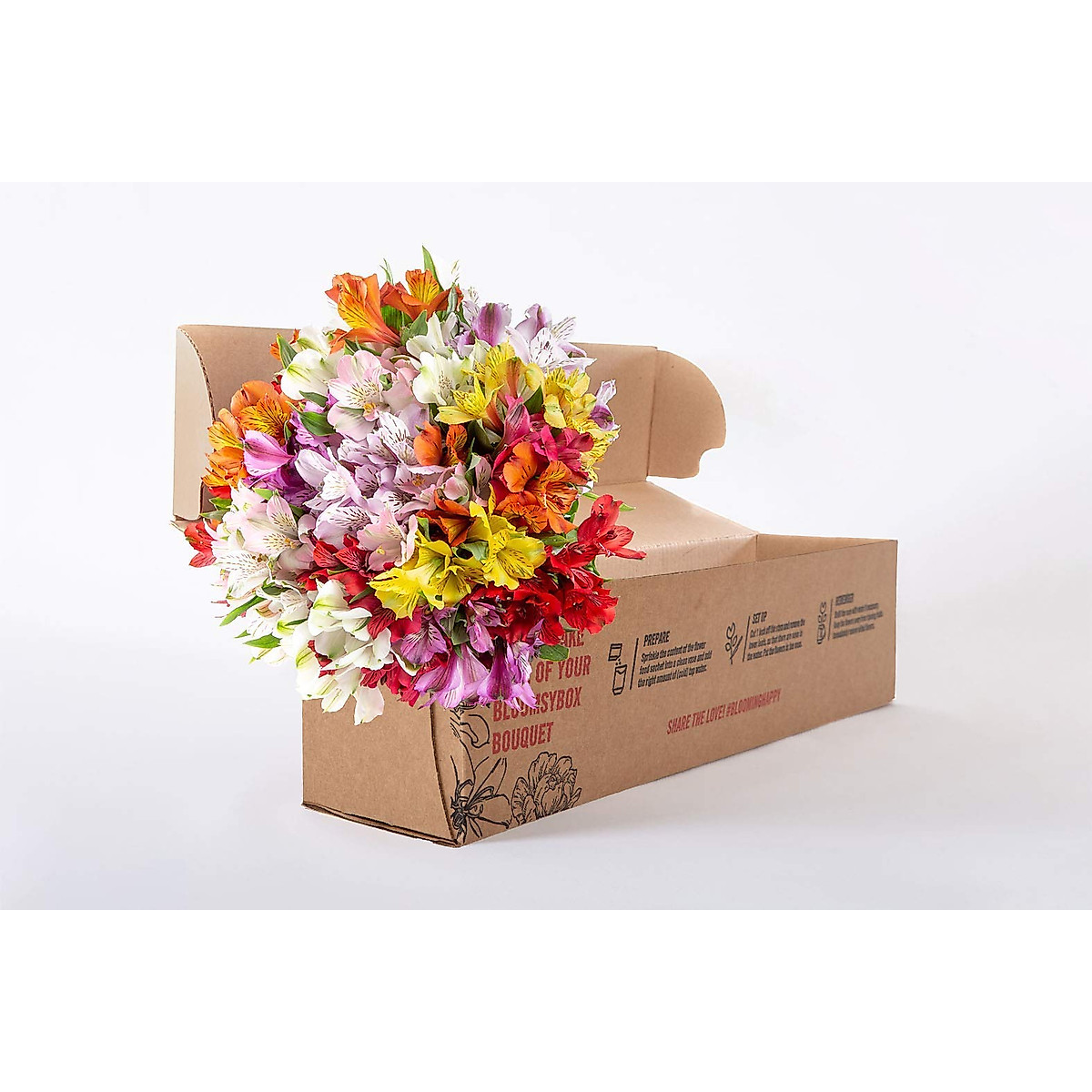 BloomsyBox: 24 Multicolored Alstroemeria Bouquet Flowers, Two Dozen, Long Lasting & Hand-Tied, Farm Fresh Cut Flowers Bouquet, birthday flowers,anniversary Flowers | No Vase