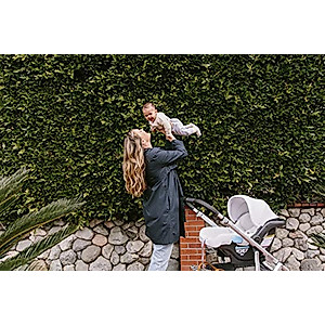 UPPAbaby MESA Infant Car Seat - Jordan (Charcoal Melange) Wool Version + Travel Bag for MESA