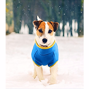 HGMOMO Dog Fleece Vest Warm Winter Upgraded Pet Clothes for Puppy Windproof Sweater Pullover Coat with D-Ring Leash Chihuahua Jackets Pug Costumes for Small Medium Cats Dogs (Small, Royal Blue)