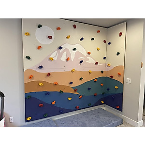 Duke's Outdoor Rock Climbing Holds Set for Kids - 25 Rock Climbing Wall Grips for Indoor & Outdoor Play Set, 8 Foot Knotted Climbing Rope, Chalk Bag & 3 DIY Videos