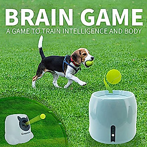 Greenvine Automatic Dog Ball Launcher Interactive Ball Thrower Fetch it Machine 6 Balls Included
