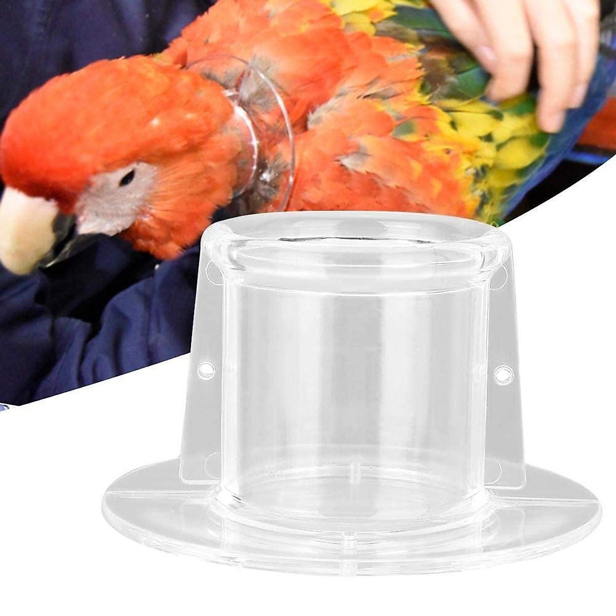Pet Parrot Anti-bite Picking Wound Healing Protective Neck Cover Collar Adjustable Recovery Pet Recovery Collar Recovery Pet Cone for Bird Collar Wound Healing Practical
