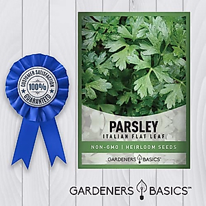 Parsley Seeds for Planting, Italian Flat Leaf is A Heirloom, Open-Pollinated, Non-GMO Herb Variety- Great for Indoor and Outdoor Gardening and Herbal Tea Gardens by Gardeners Basics