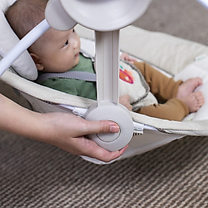 Ingenuity Soothe 'n Delight Compact Portable 6-Speed Plush Baby Swing with Music, Folds Easy, 0-9 Months 6-20 lbs (Cozy Kingdom)