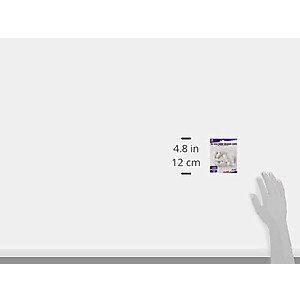 Pentel Arts Hi-Polymer White Cap Erasers (ZEH02PABP10)