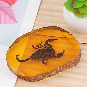 Garneck Amber Fossil Insect,Artificial Amber Insect Specimen Pendant Butterfly Scorpions Insects Amber Stone Ornament for Collection(Scorpion)
