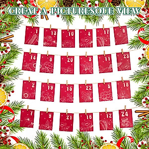 Seeds Christmas Advent Calendar 2024 for Women Adult, Hanging Decor Xmas Countdown Calendar for Garden Alike,Unique Christmas Countdown for Dad Mom Kids Family
