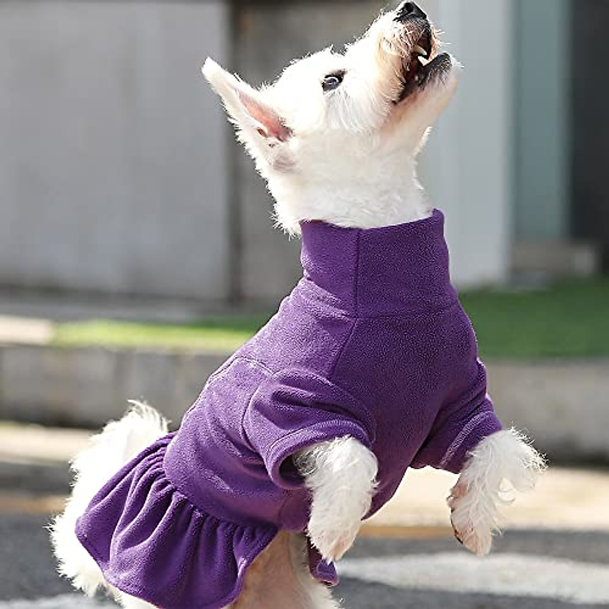 Fitwarm Athleisure Fleece Dog Dresses, Dog Clothes for Small Dogs Girl, Pet Lightweight Turtleneck Sweater, Cat Apparel, Purple, Medium