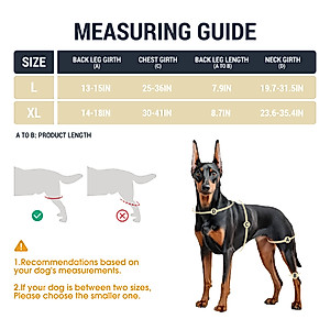 Dog Knee Brace Support for Torn ACL Leg, Dog Hip Dysplasia Brace, Full Body Fixation Ensures Stability, Dog Knee Braces Relieve Aching Muscles and Reduce Joint Pain and Inflammation (Size:L)