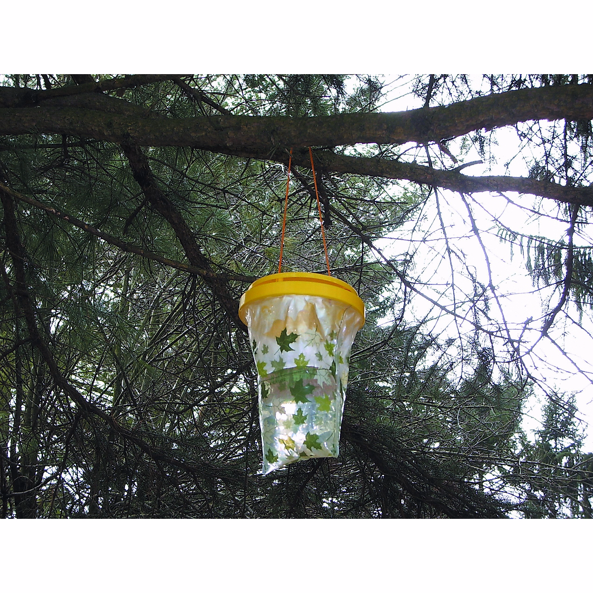 Victor Poison-Free M370 Yellow Jacket Magnet Disposable Bag Trap