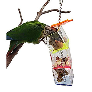 Tropical Chickens Parrot Bird Boredom Buster Forage Box Creative Hanging Treat Foraging Toy Conure Cockatiel for Small Bird Enrichment Transparent Acrylic Food Holder