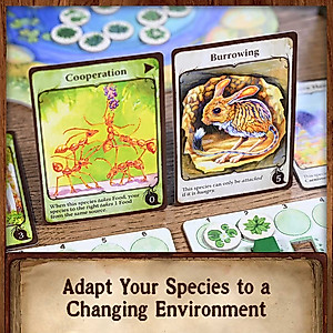 Northstar Game Studio Evolution Board Game | Beautiful Strategy Game for Adults, Teens and Families | Create Species in This Ecosystem Game | 2-6 Players, 60 Minutes, Age 12+