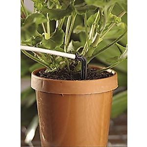 tusrai 0.5GPH 25pcs Greenhouse Drip Irrigation System Bend Arrow Drip Stick 6" Long Angle Arrow Dripper