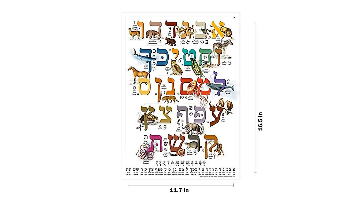 Hebrew Aleph Bet Animal Poster for Kids - Learn Easily