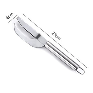 WOIWO 1PCS Stainless Steel Fish Belly Knife Multi-purpose Fish Knife Kitchen Fish Belly Knife Cleaning dirty Fish Scale Tool Fish Scale Planer