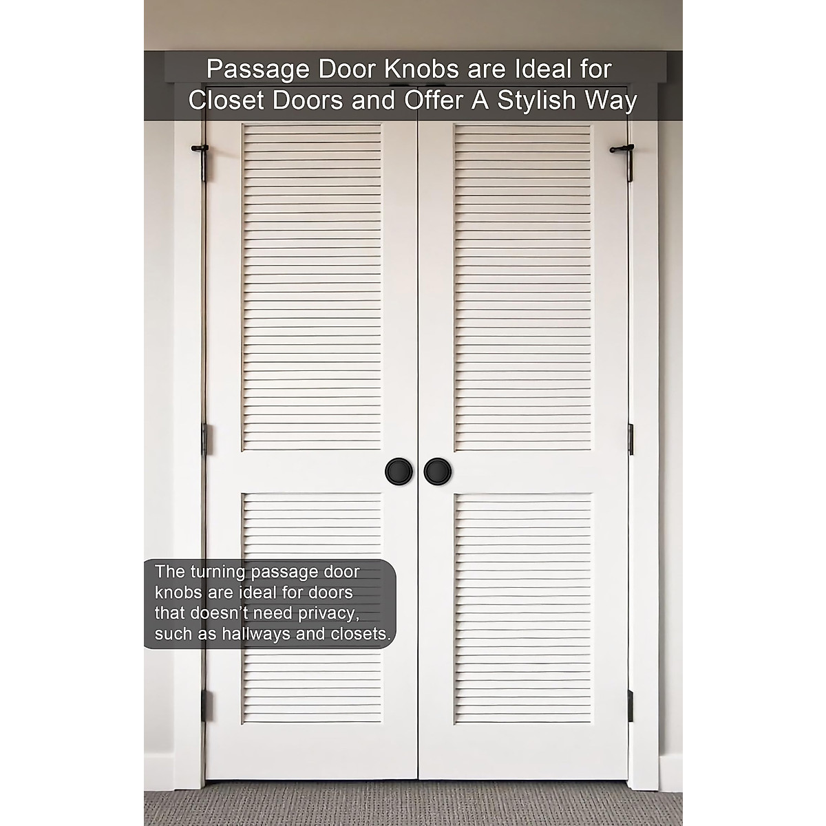 goldenwarm Black Passage Door Knobs, Matte Black Closet Door Knobs Interior, Black Passage Door Knobs Set for Hallway, Closet (5 Pack, Matte Black)