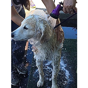 Disposable Pet Shower Caps, Ear Infection Prevention, Ears Drops Guard, Surgical Area Cover, Overhanging Ears Protection for Dogs, Cats in Bath, Rain, Water, 12 Caps/Pack (XLarge)