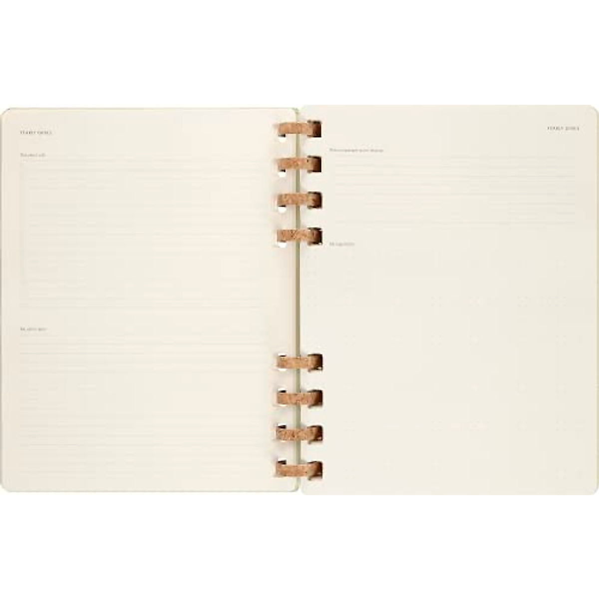 Moleskine 2024 Spiral Academic Planner, 12M, Extra Large, Crush Kiwi, Hard Cover (7.5 x 10)