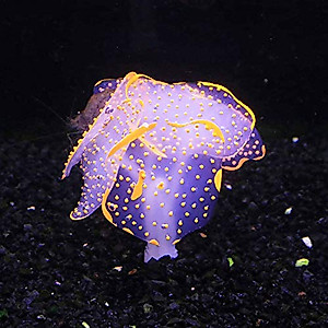Cayway 6 Pack Aquarium Fish Tank Ornament Glowing Simulation Coral Plant Ornaments Glowing Silicone Aquarium Ornaments Mushroom Lotus for Fish Tank, Aquarium Landscape